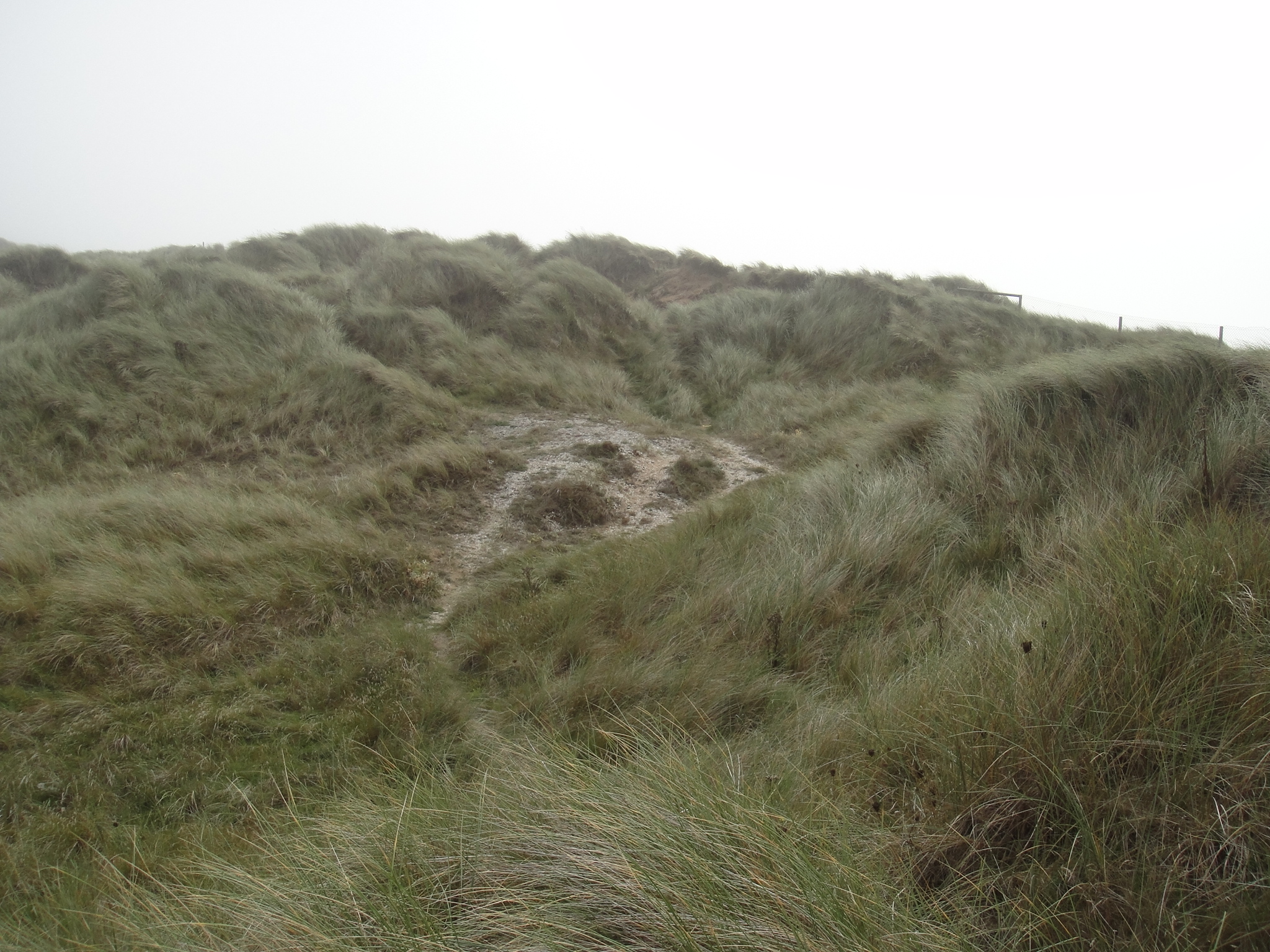 Tramore of Yore – A blog dedicated to the history of the seaside town ...